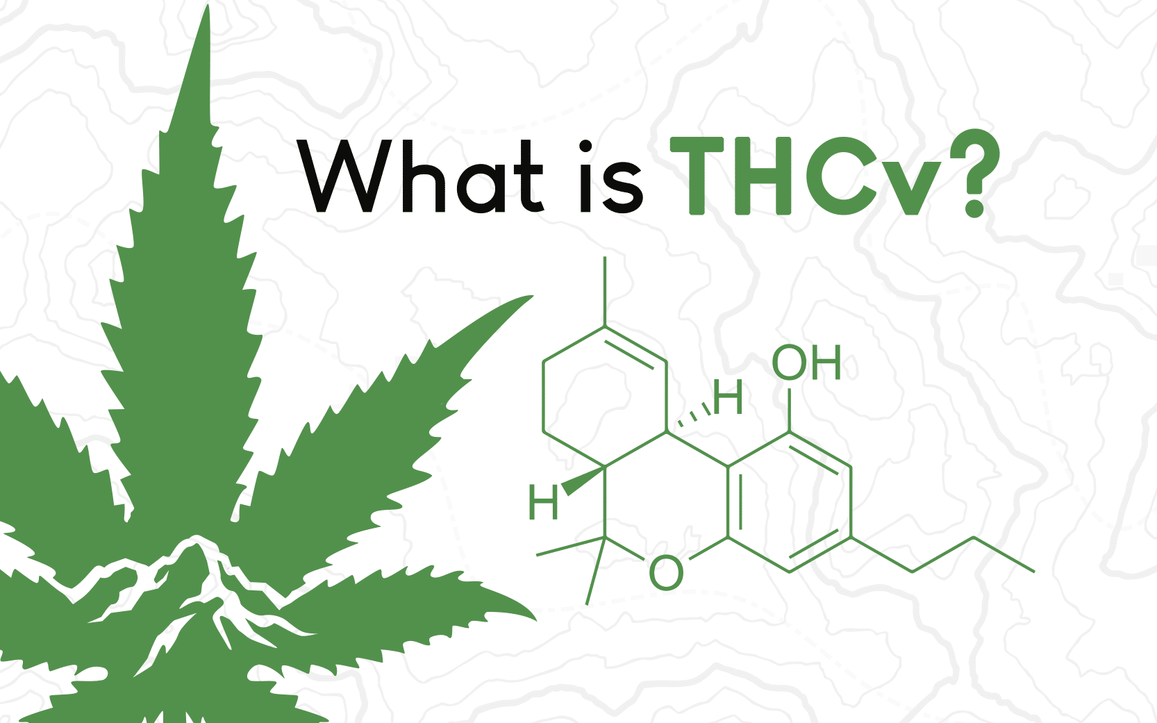 What Is THCv What Is THCv